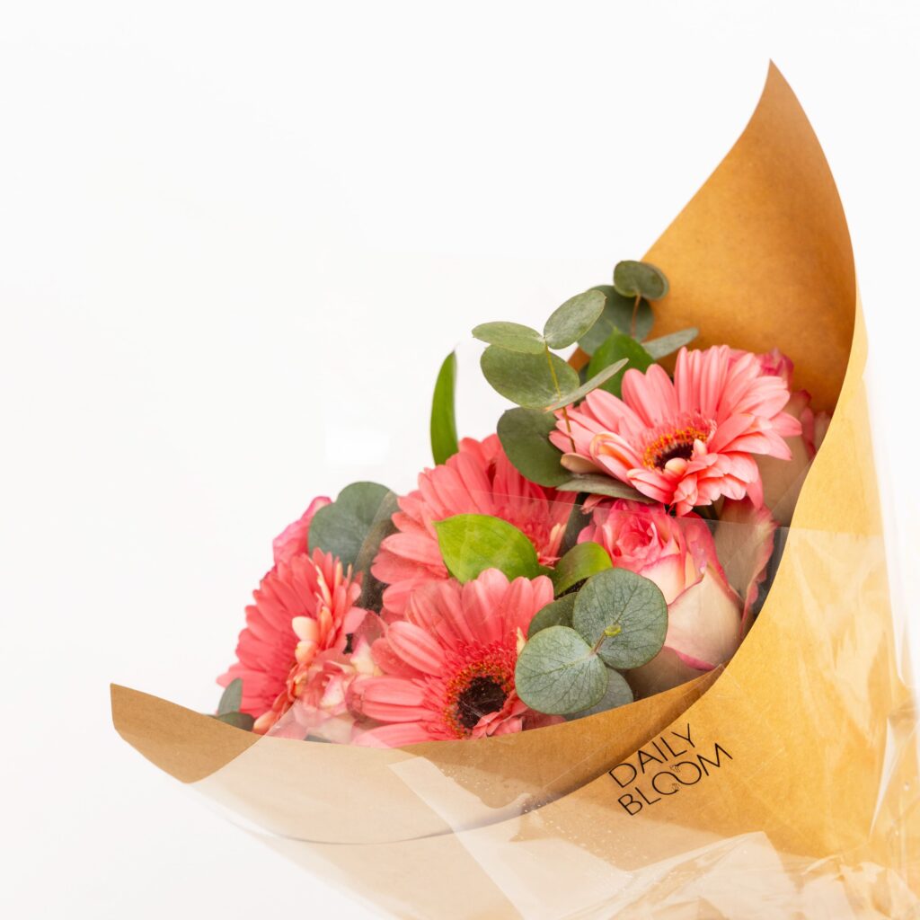 Cherry Blossom – Daily Bloom